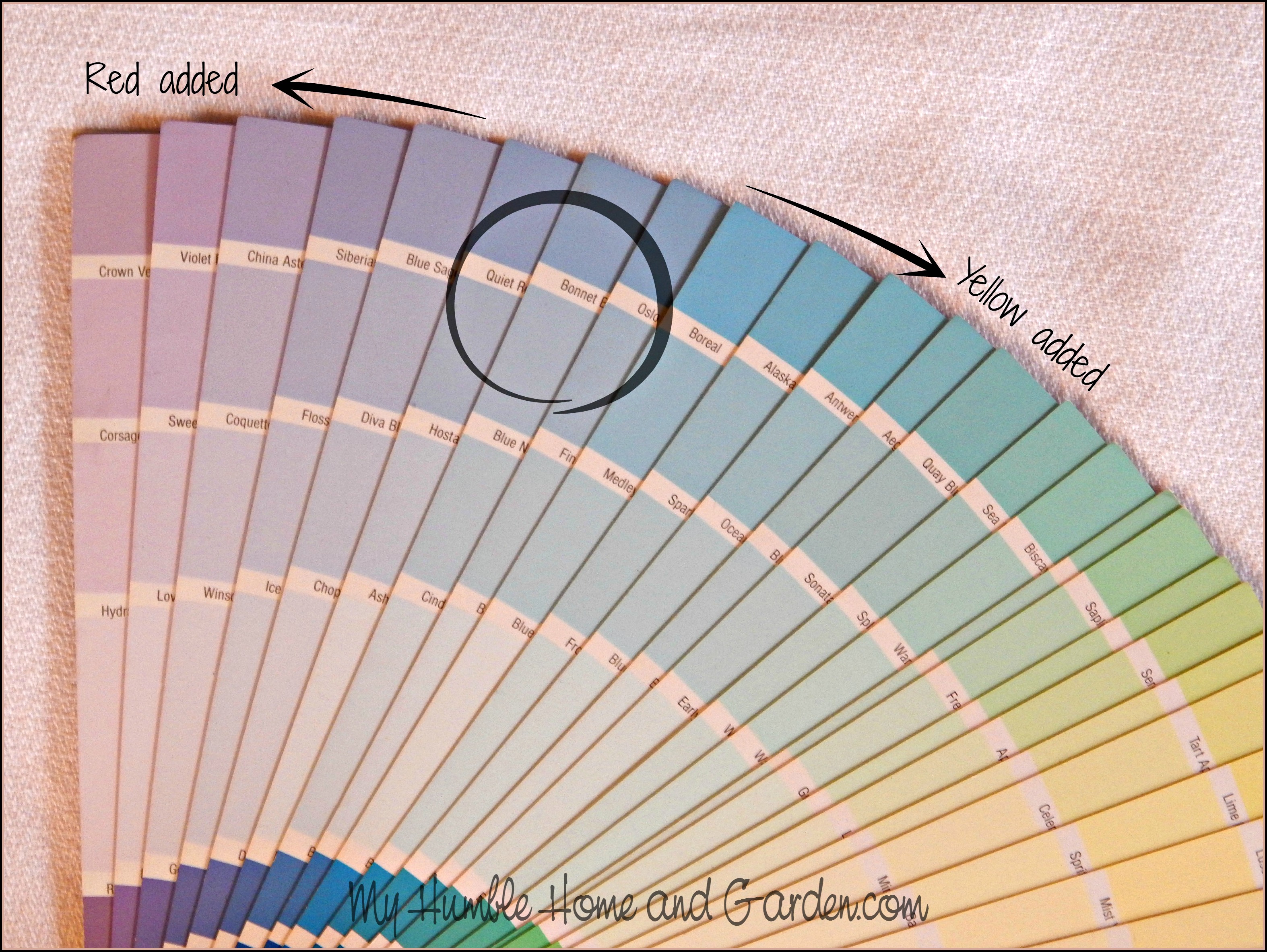 Foolproof Way To Choose Paint Colors For Your Home - My Humble Home and ...