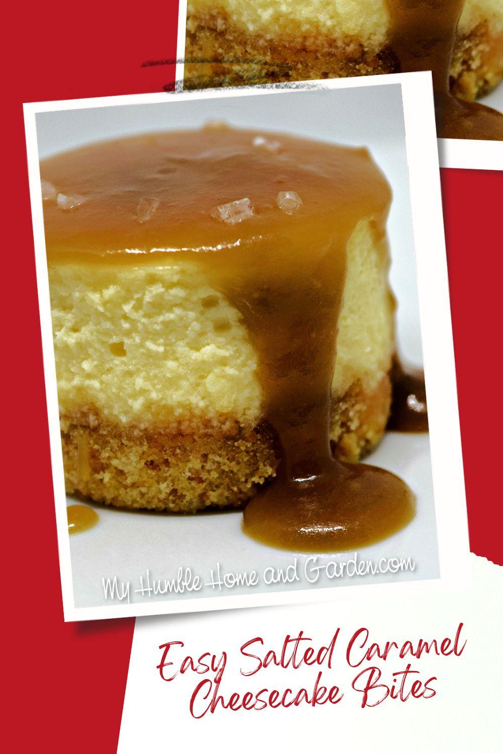 You'll Love These Easy Salted Caramel Cheesecake Bites - My Humble Home ...