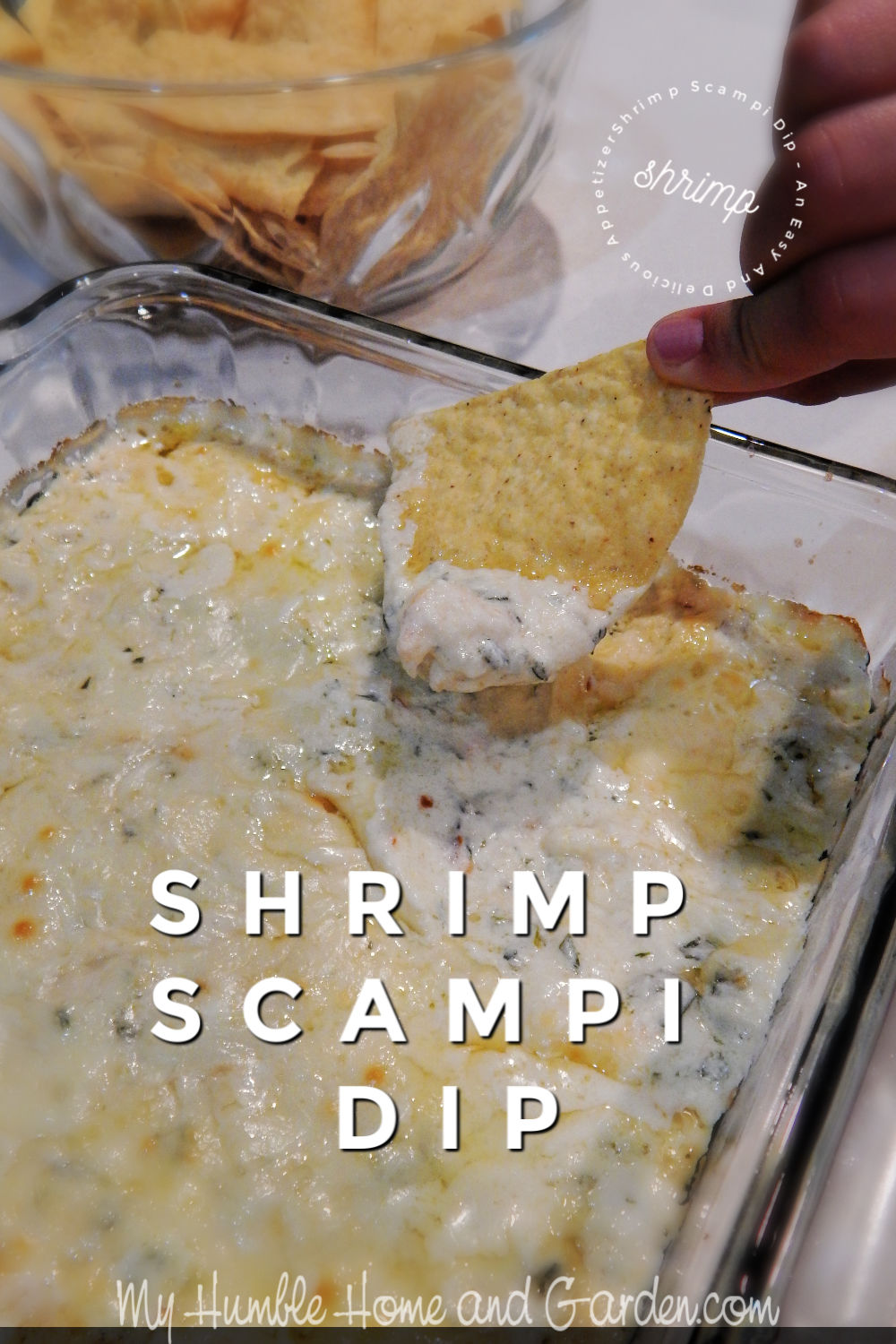 Shrimp Scampi Dip - An Easy And Delicious Appetizer - My Humble Home ...