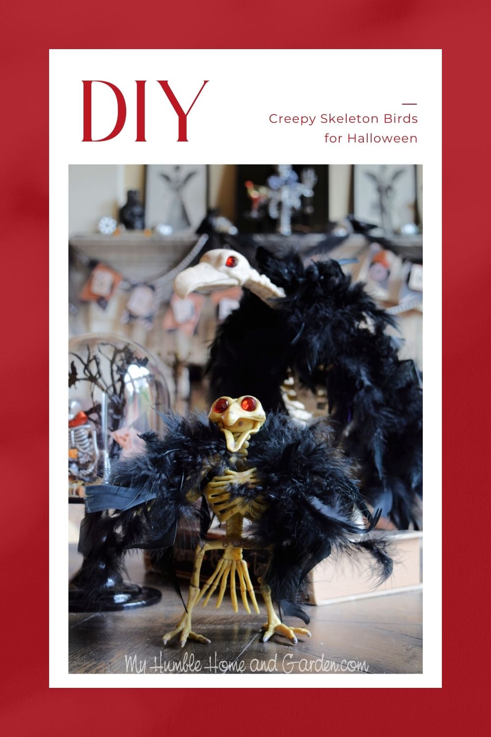 How to Decorate a Creepy Bird Skeleton for Halloween - My Humble Home ...